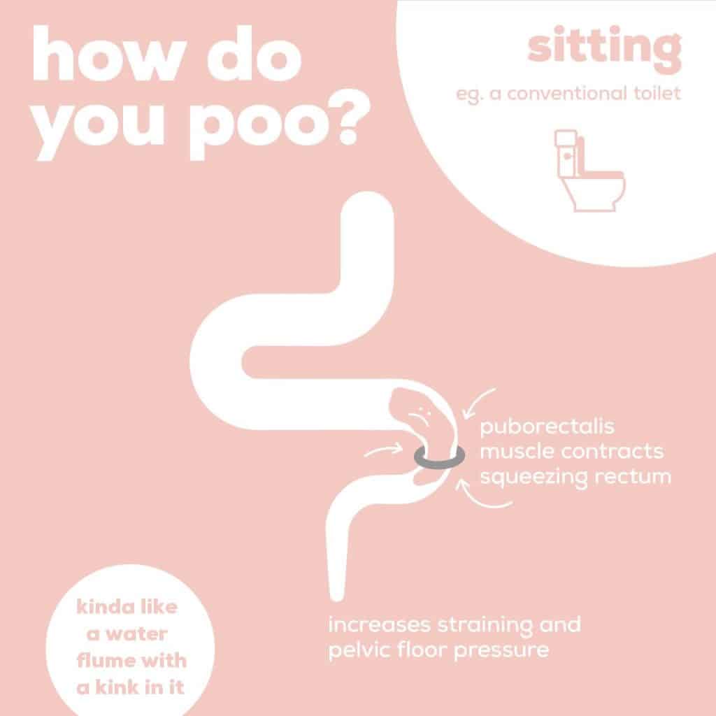 Tuning In: Slowing Down To Learn How To Use The Toilet - The Gut Stuff