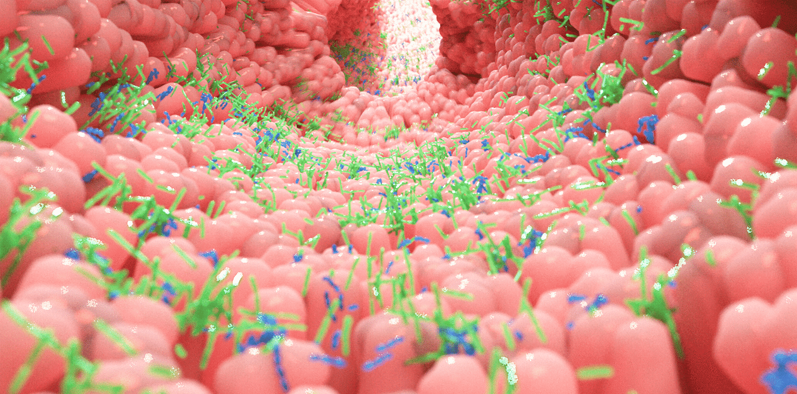 Microbial DNA Study: Teamwork Makes The Bacteria Work- The Gut Stuff