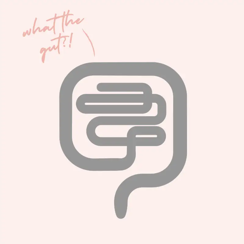 What Is The Gut? Biology Lesson Time - The Gut Stuff