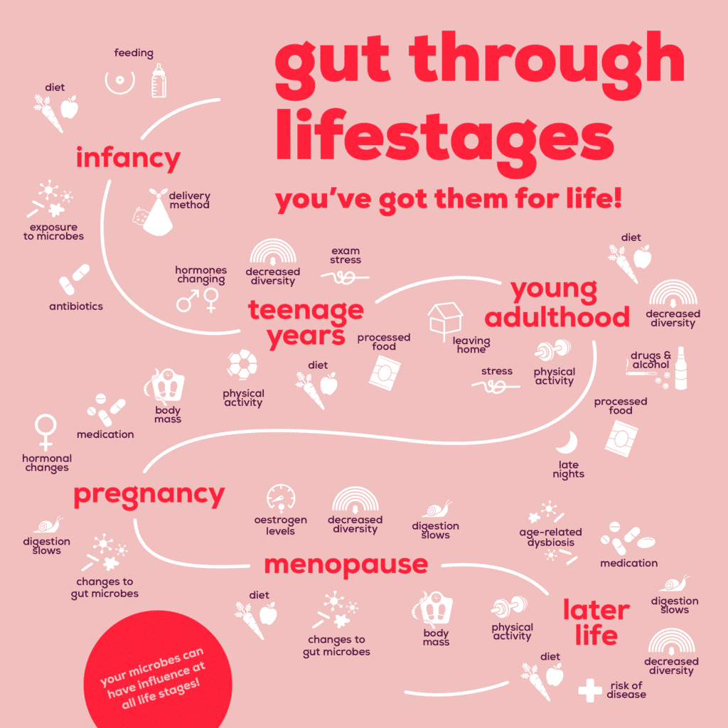 Through The Ages: Gut Changes Throughout Our Lives - The Gut Stuff
