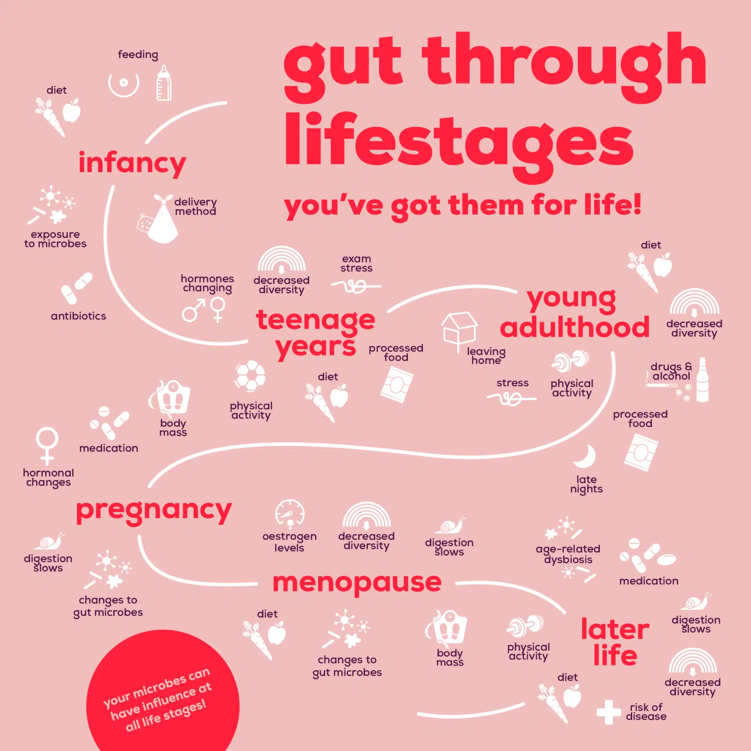 Through The Ages: Gut Changes Throughout Our Lives - The Gut Stuff