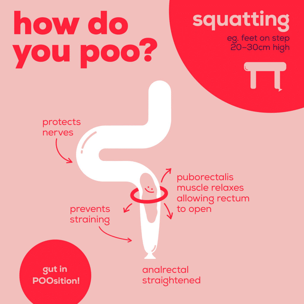 Tuning In: Slowing Down To Learn How To Use The Toilet - The Gut Stuff