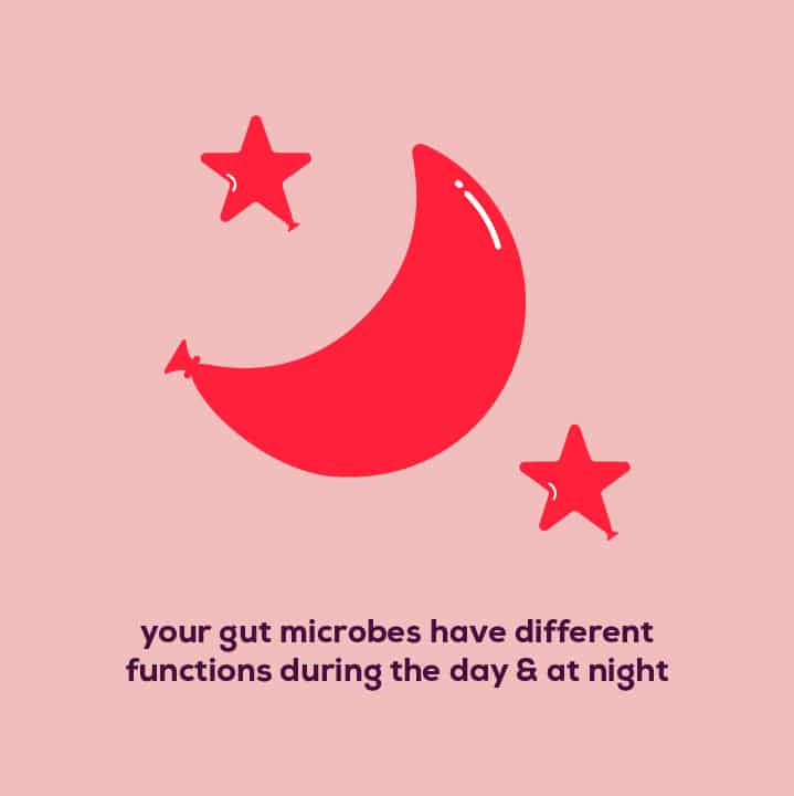 How the gut impacts sleep and sleep impacts the gut - The Gut Stuff