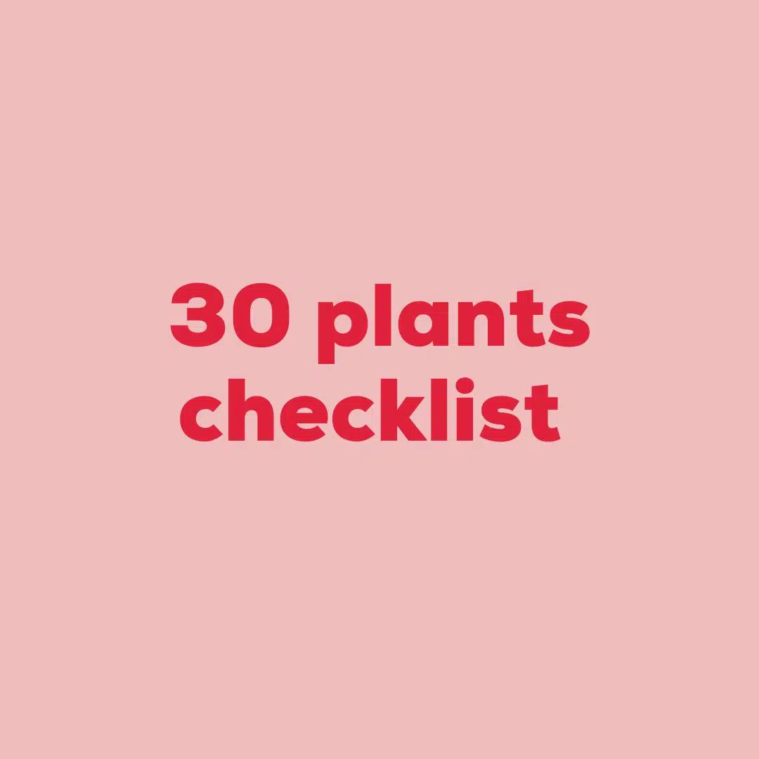 Gut Health PDF Downloads – The Gut Stuff