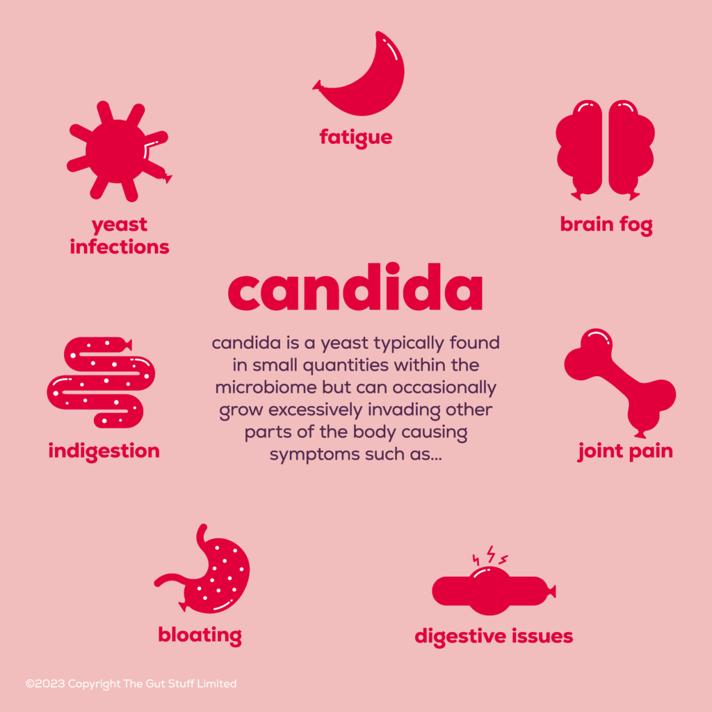 Candida and The Gut - The Gut Stuff