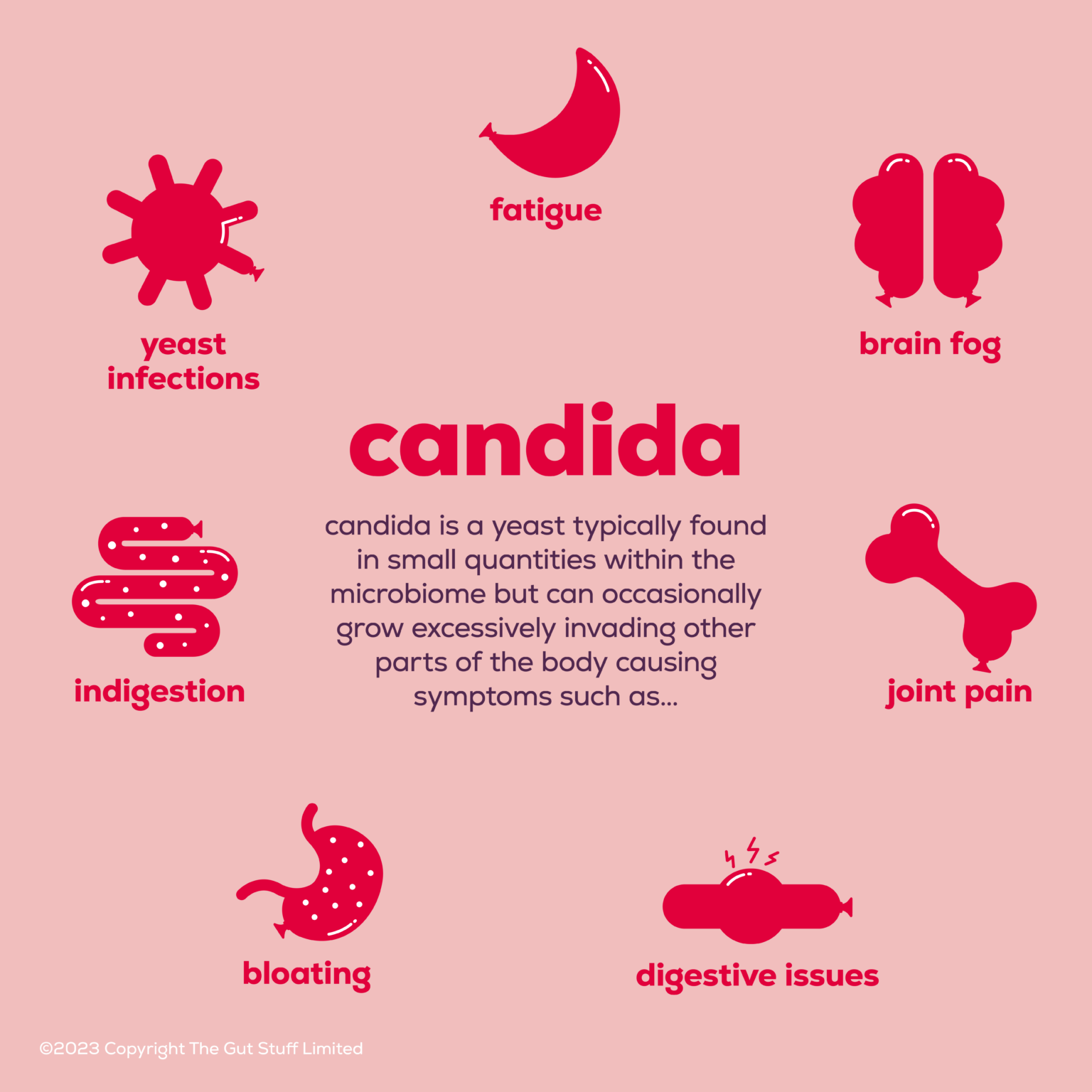 Candida and The Gut - The Gut Stuff