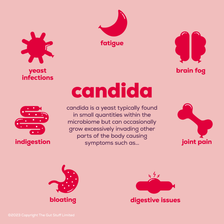 Candida and The Gut - The Gut Stuff
