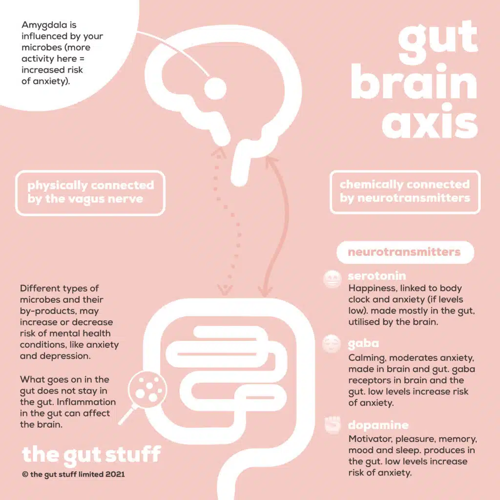 IBS and The Gut Brain Axis - The Gut Stuff