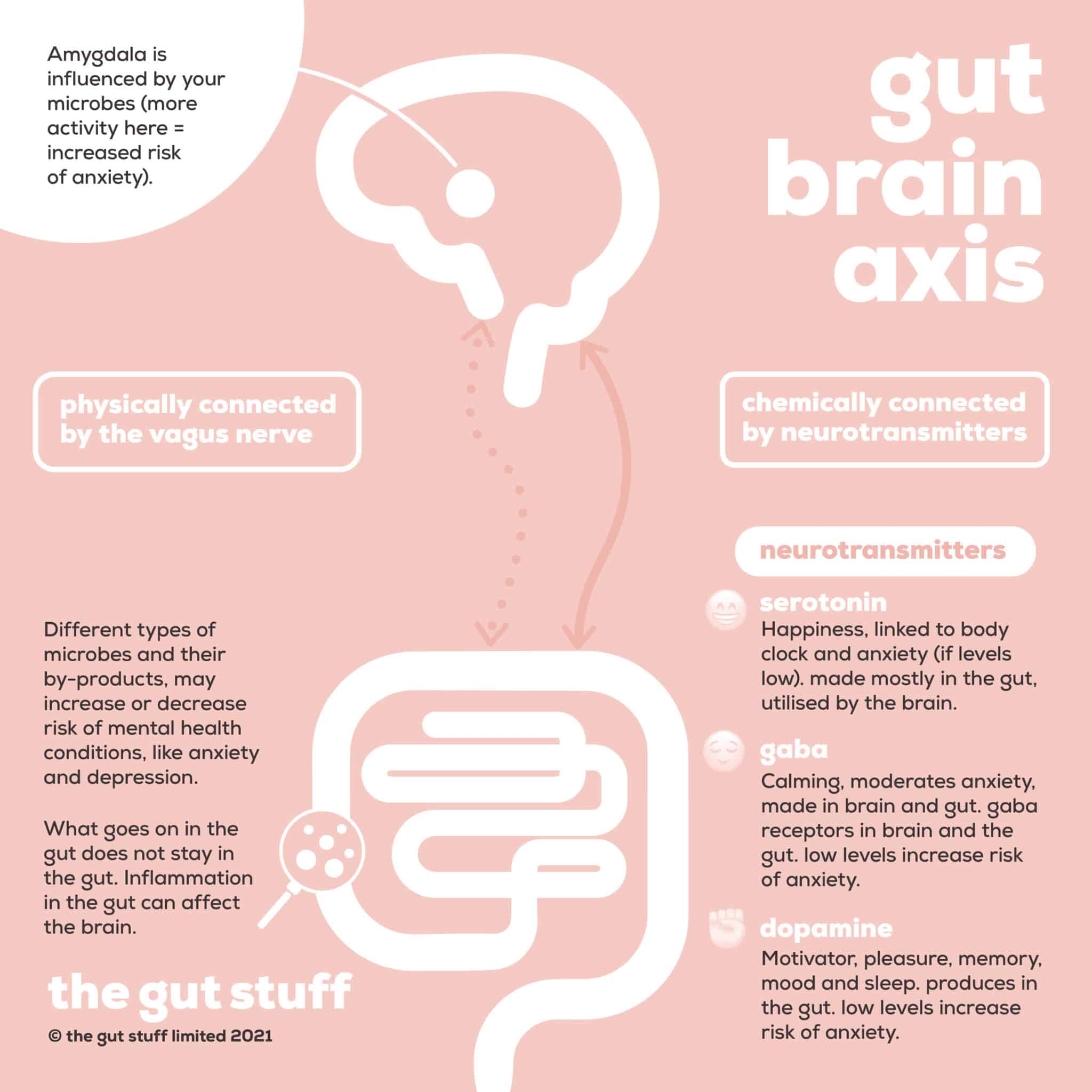 IBS and The Gut Brain Axis - The Gut Stuff