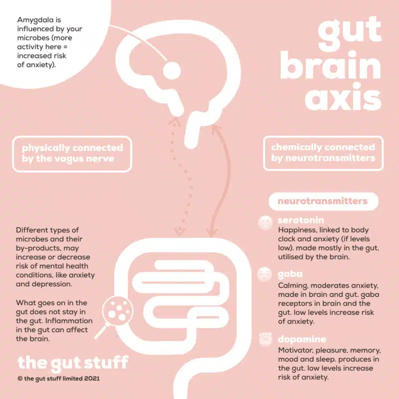 IBS and The Gut Brain Axis - The Gut Stuff