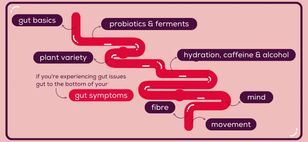the gut stuff app | 100 days to hack your gut health - The Gut Stuff
